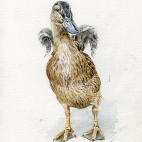 Horse portrait oil painting by Una Hurst | Artfinder