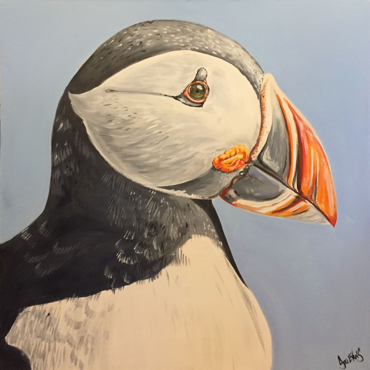 Puffin (2015) Acrylic painting by Stuart Evans | Artfinder