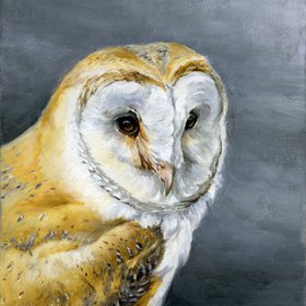 Horse portrait oil painting (2017) Oil painting by UNA HURST | Artfinder